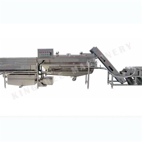 Asia Machinery.net - Olive Sorting And Cleaning Machine - Changzhou ...